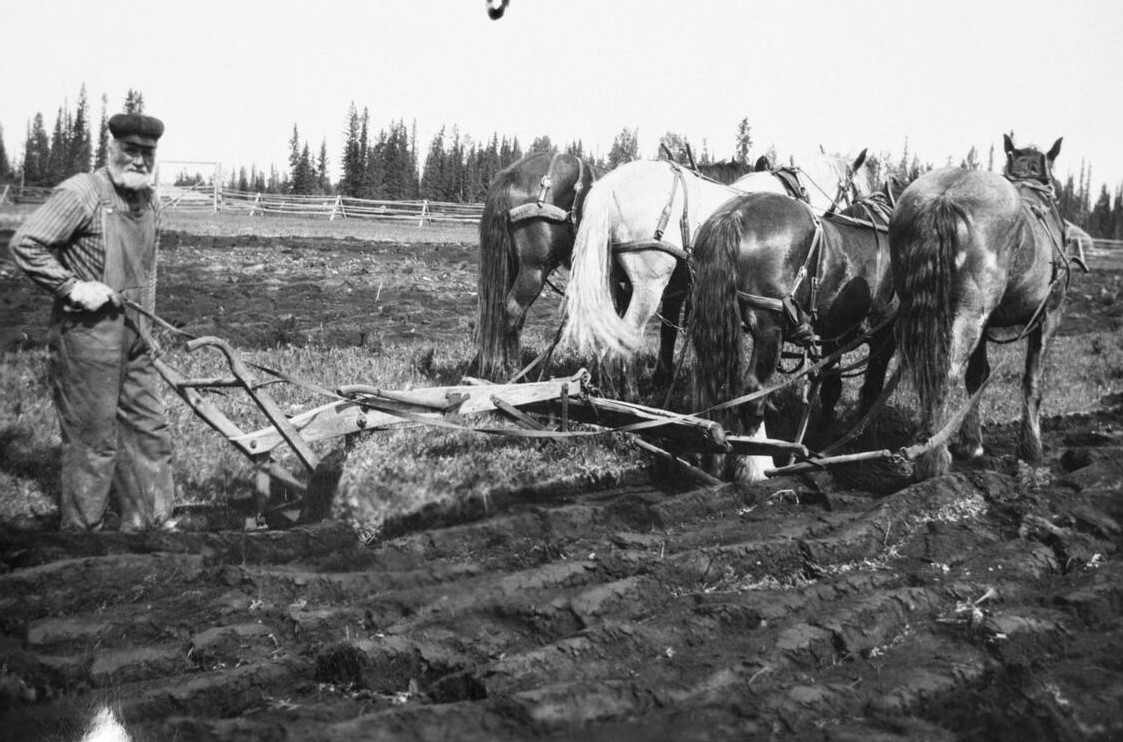 How has innovation shaped the food system? - Project Agriculture